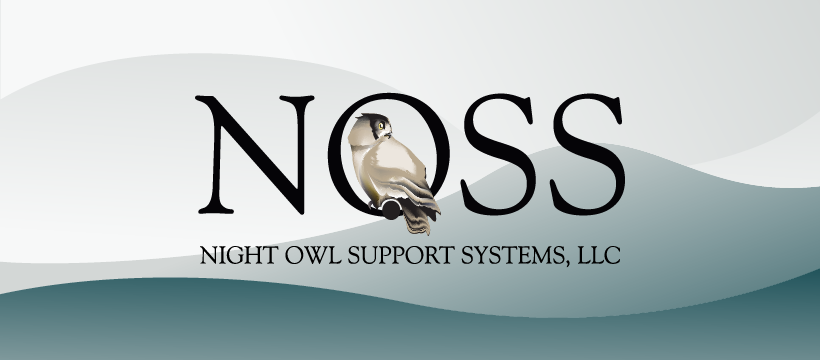 Once Upon a Candy Shop – DSI Services